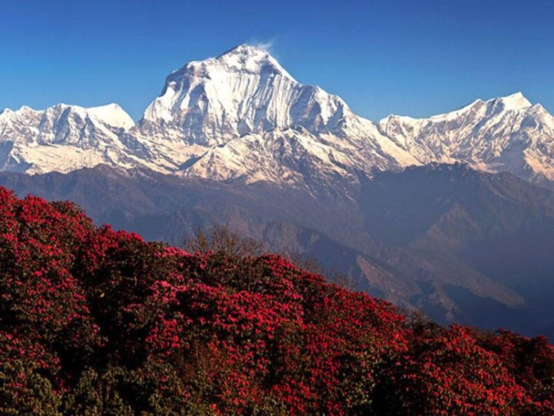 Kathmandu: 3 Day Ghorepani Poon Hill Guided Trek - The Experience: What Youll Really Feel