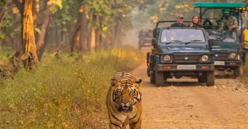 Kathmandu: 4-Day Private Chitwan National Park Safari Tour - Key Points