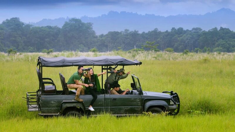 Kathmandu: 4-Day Private Chitwan National Park Safari Tour - What Makes This Tour Stand Out?