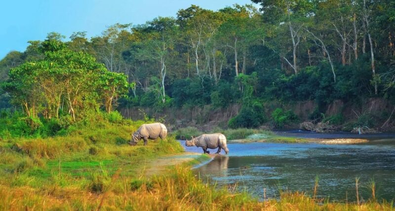 Kathmandu: 4-Day Private Chitwan National Park Safari Tour - Detailed Itinerary Breakdown