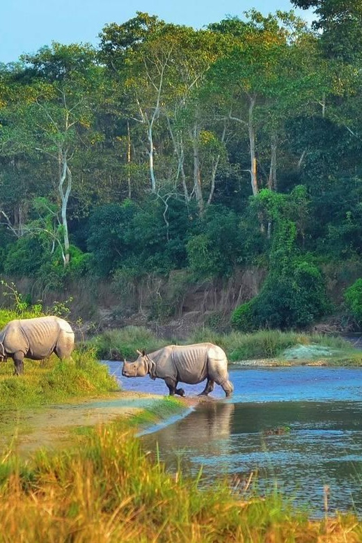Kathmandu: 4-Day Private Chitwan National Park Safari Tour - Who Will Enjoy This Tour?