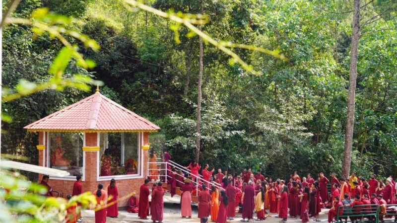Kathmandu: 4-Days Meditation & Yoga Retreat in Osho Tapoban - Reviews and Authentic Perspectives
