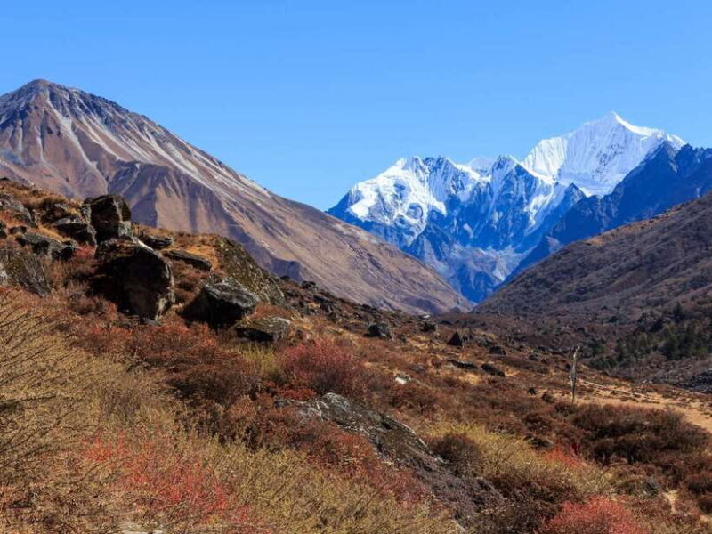 Kathmandu: 6 Days Langtang Valley Trek - Key Points
