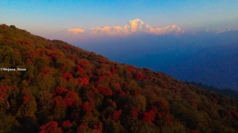 Kathmandu: 7-Day Annapurna Base Camp Via PoonHill Hot Spring - Discovering the Route and Its Highlights