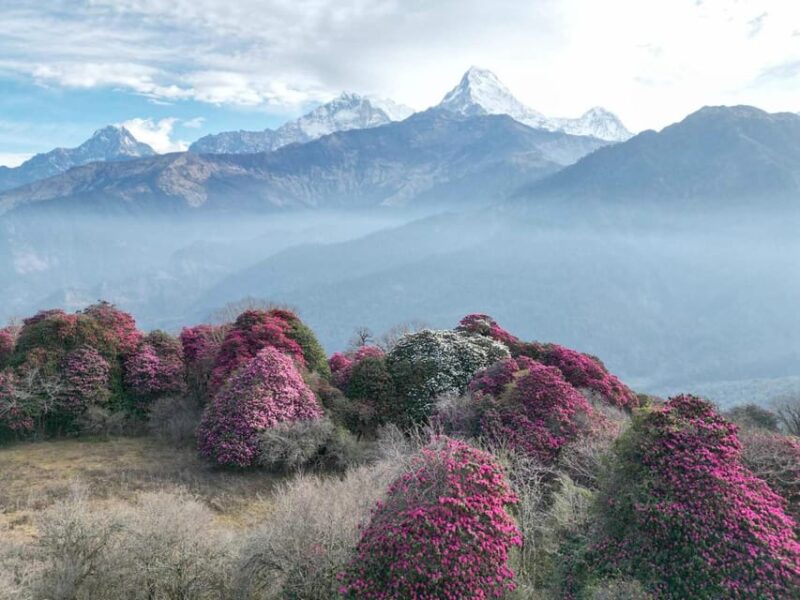 Kathmandu: 7-Day Annapurna Base Camp Via PoonHill Hot Spring - FAQs