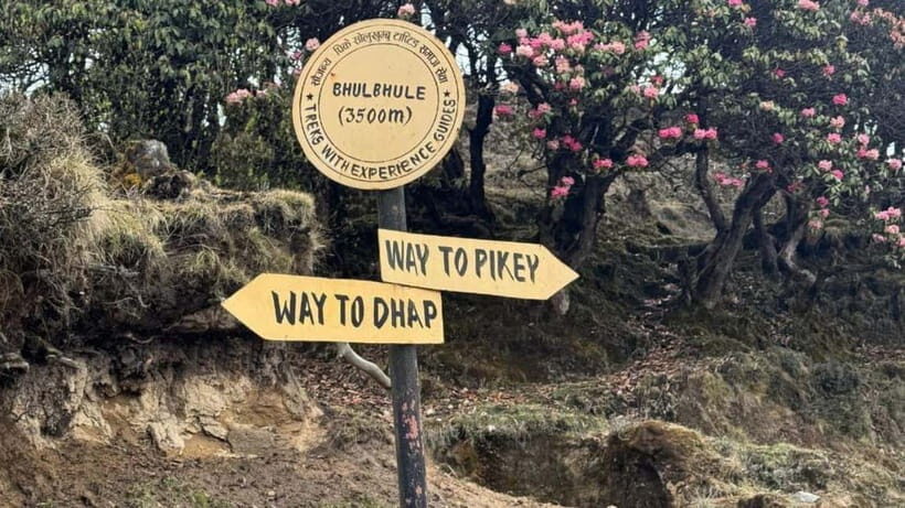 Kathmandu: 8-Day Pikey Hill Trek - Key Points