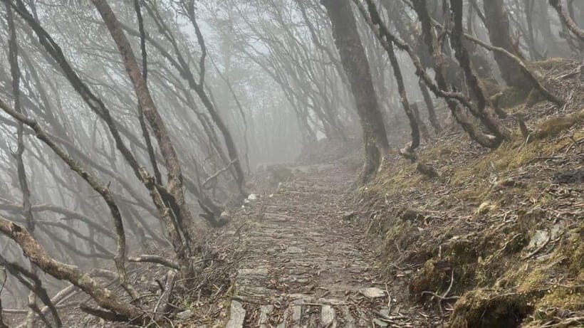 Kathmandu: 8-Day Pikey Hill Trek - Authenticity and Crowds — A Major Plus