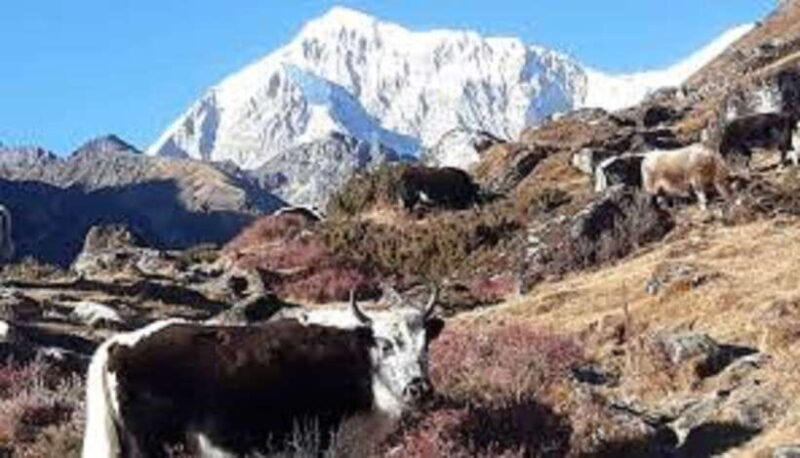 Kathmandu: 8 Night 9 Days Dudh kunda Trek - The Sum Up: Why choose this trek?