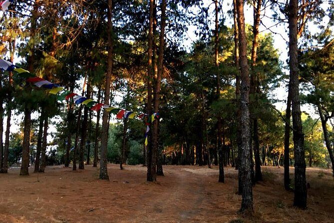 Kathmandu Best Scenic Day Hiking to Champa Devi Hill - Exploring the Heart of Kathmandu’s Natural Beauty