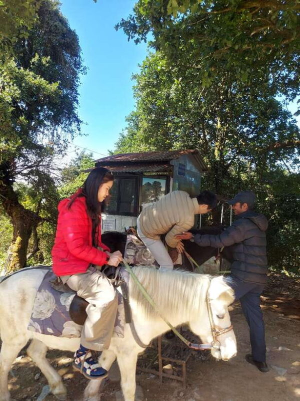 Kathmandu: Cable Car Tour with Forest and Food Walk - Detailed Breakdown of the Itinerary