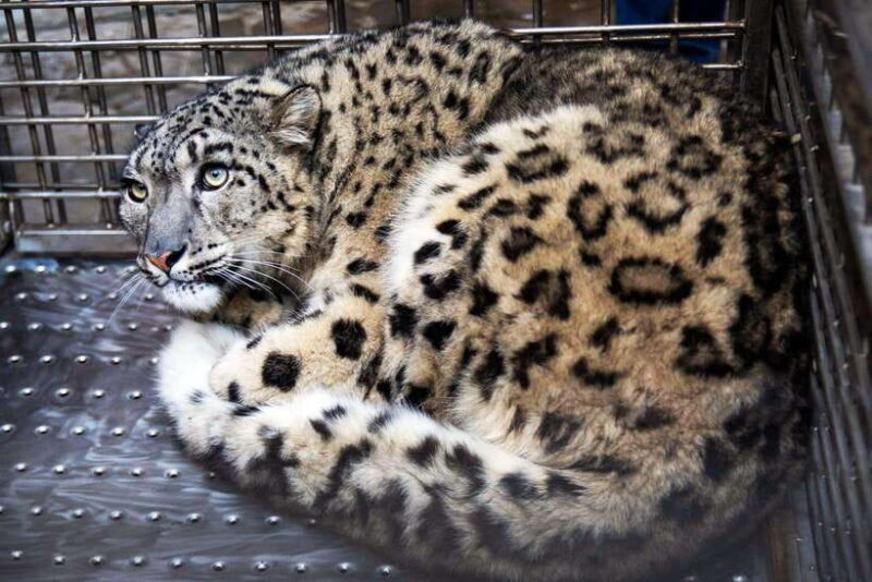 Kathmandu: Central Zoo Tour - Introduction