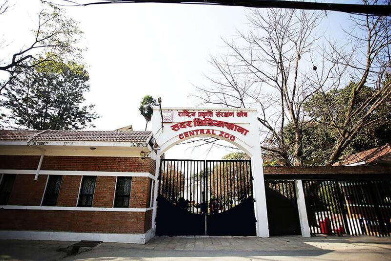 Kathmandu: Central Zoo Tour - The Experience: A Deep Dive