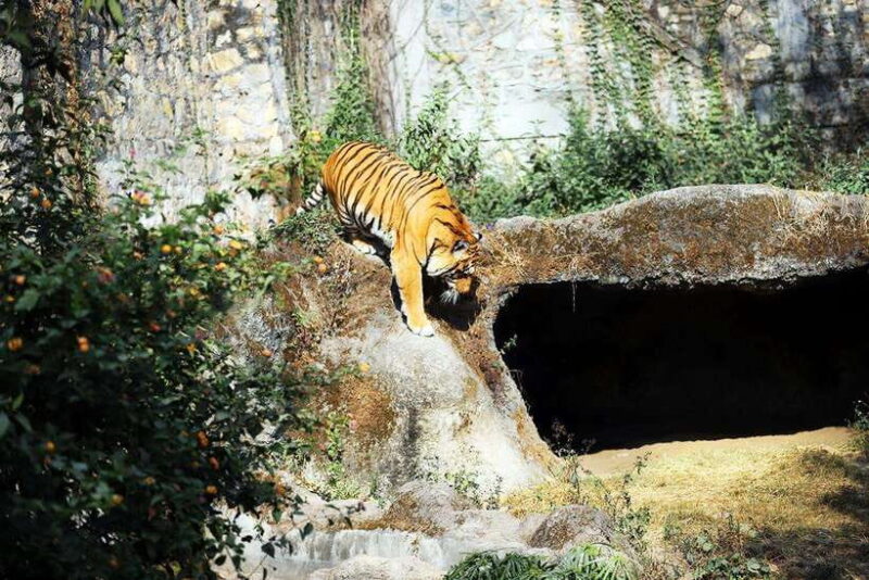 Kathmandu: Central Zoo Tour - Who Will Enjoy This Tour?