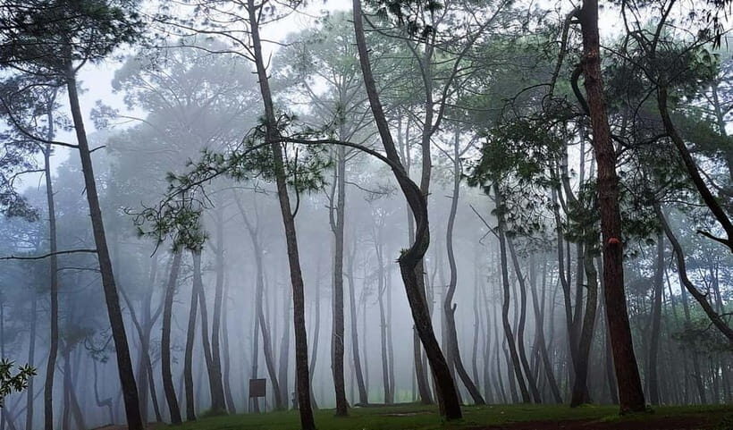 Kathmandu: Champadevi Hill Guided Hike with Lunch - A Closer Look at the Guided Hike Experience