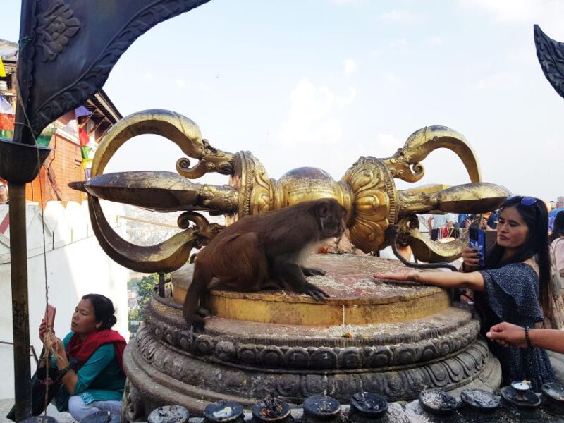 Kathmandu: Chandragiri Cable Car and Monkey Temple Tour - The View and Cultural Highlights