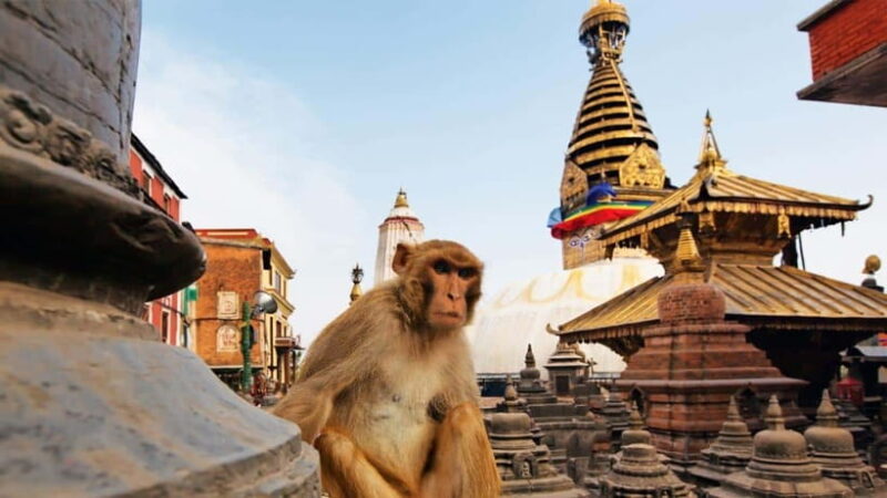 Kathmandu: Chandragiri Cable Car and Monkey Temple Tour - Key Points