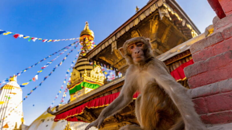 Kathmandu: Chandragiri Cable Car and Monkey Temple Tour - The Sum Up