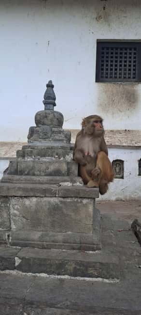 Kathmandu: Chandragiri cable car & Swayambhunath Tour - FAQs