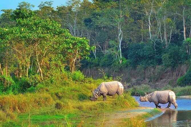 Kathmandu & Chitwan: A 6-Day Nepal Adventure - FAQ