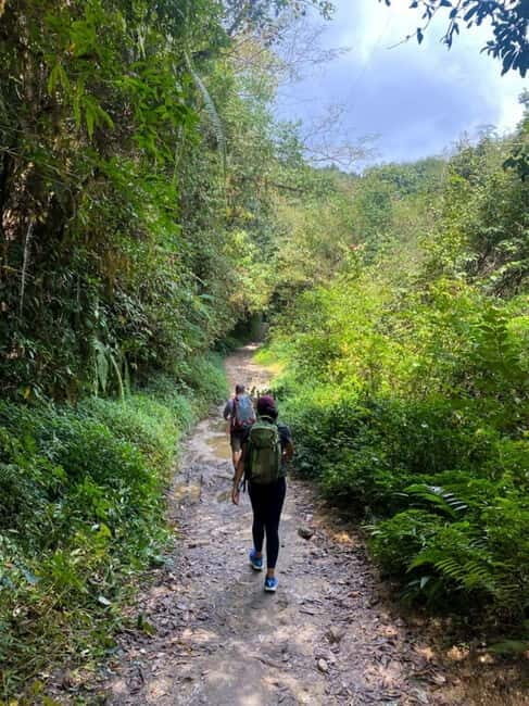 Kathmandu: Day Hike with Breakfast and Lunch - Key Points