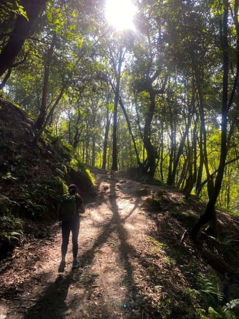 Kathmandu: Day Hike with Breakfast and Lunch - The Journey Begins: From Kathmandu to Nature’s Doorstep
