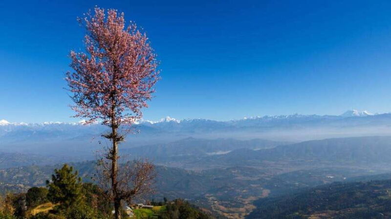 Kathmandu: Dhulikhel to Namobuddha Full-Day Guided Hike - Reaching Namobuddha Monastery