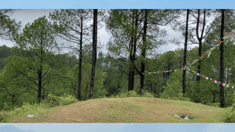 Kathmandu: Fresh air Hiking at Kapan-Jagdol-Nagi gumba - Value and Pricing