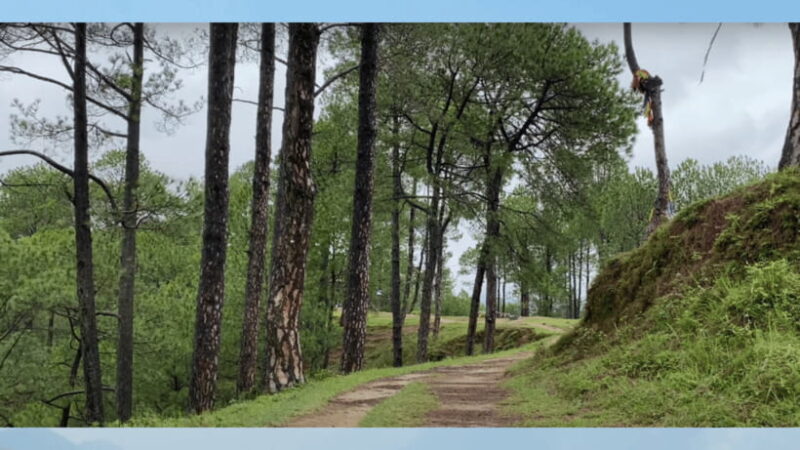 Kathmandu: Fresh air Hiking at Kapan-Jagdol-Nagi gumba - The Sum Up