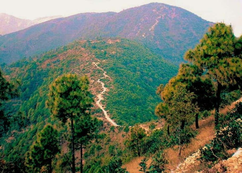 Kathmandu: Hike, Heritage & Holiness | Champadevi day Hiking - An Overview of the Experience