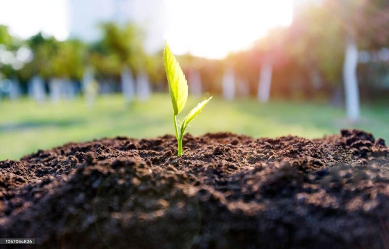 Kathmandu: Hike JamaChwok & Tree Planting for carbon neutral - The Scenic Trek: Jama Chwok