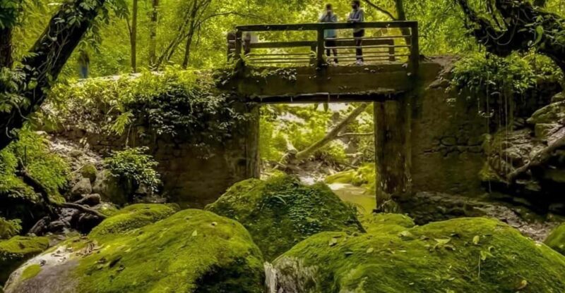 Kathmandu: Jamacho( Nagarjung Danda) Day Hike - Key Points