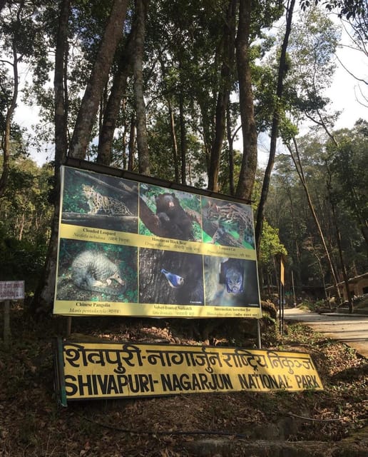 Kathmandu: Jamacho( Nagarjung Danda) Day Hike - What Makes This Tour Stand Out?