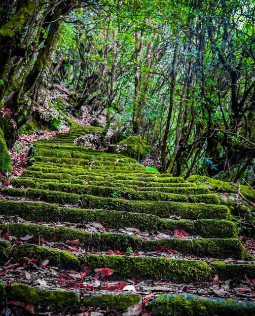 Kathmandu: Jamacho( Nagarjung Danda) Day Hike - Analyzing the Value