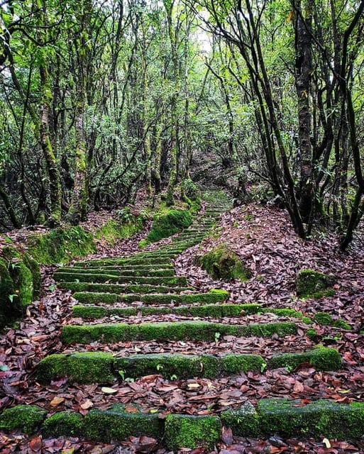 Kathmandu: Jamacho( Nagarjung Danda) Day Hike - Practical Tips for Travelers