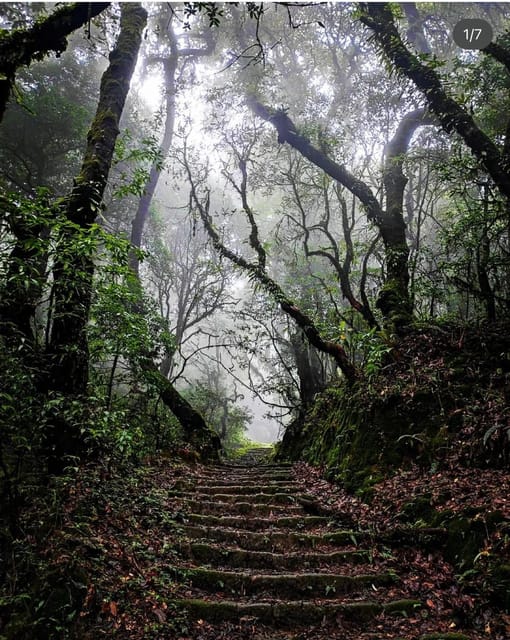 Kathmandu: Jamacho( Nagarjung Danda) Day Hike - Who Is This Tour Best For?