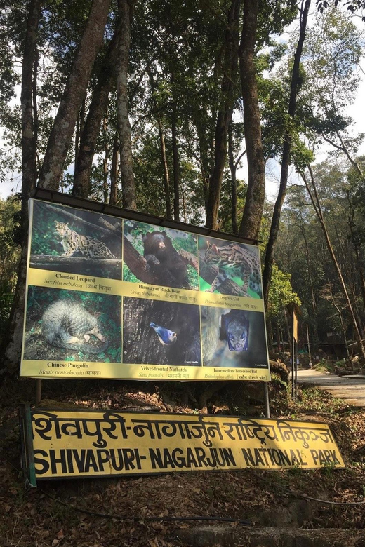 Kathmandu: Jamacho( Nagarjung Danda) Day Hike - The Sum Up