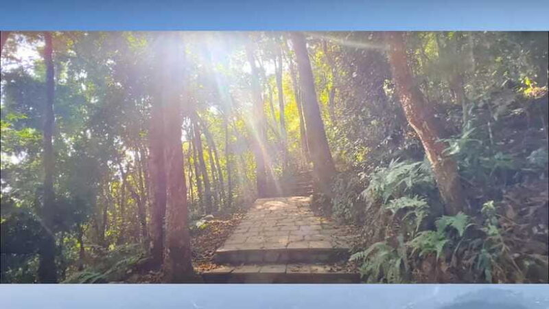 Kathmandu: Jamacho One day Nature walk with Guide - Detailed Itinerary Breakdown