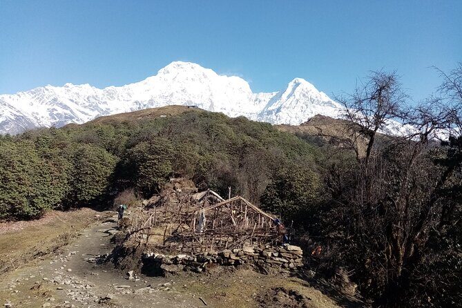 Kathmandu: Mardi Himal Base Camp Trek 4500 Meteres - The Itinerary in Detail