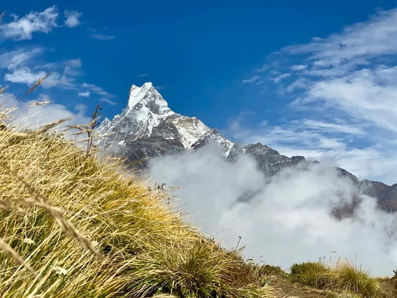 Kathmandu: Mardi Himal Trek with Vibrant Views - Analyzing the Value