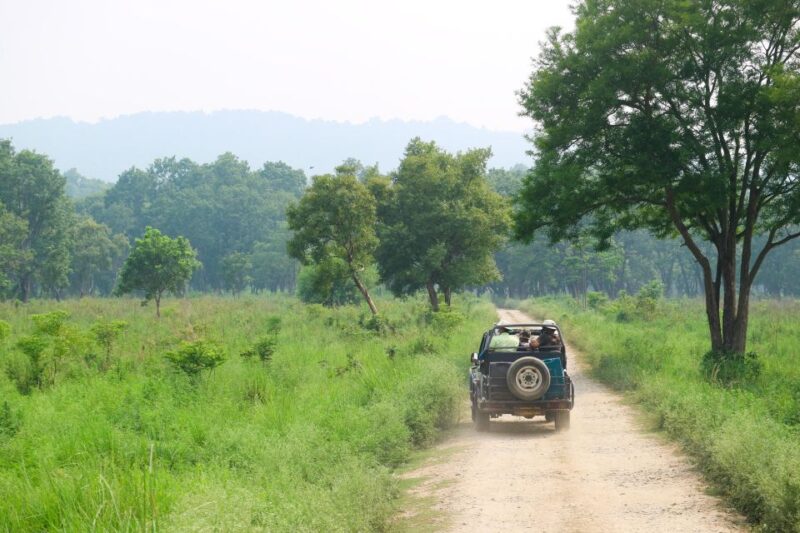 Kathmandu/Pokhara: 2-Day Chitwan Safari Private Tour By Car - What Makes This Tour Special?