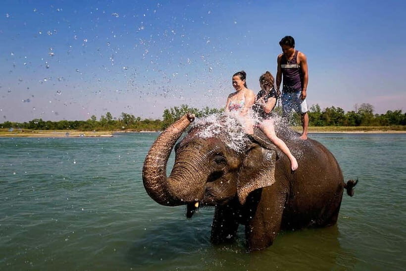 Kathmandu/Pokhara: 3 Day Chitwan Jungle Safari Tour - FAQs