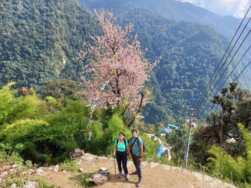 Kathmandu/Pokhara: 5-Day Annapurna Base Camp (ABC) Trek - What Travelers Say