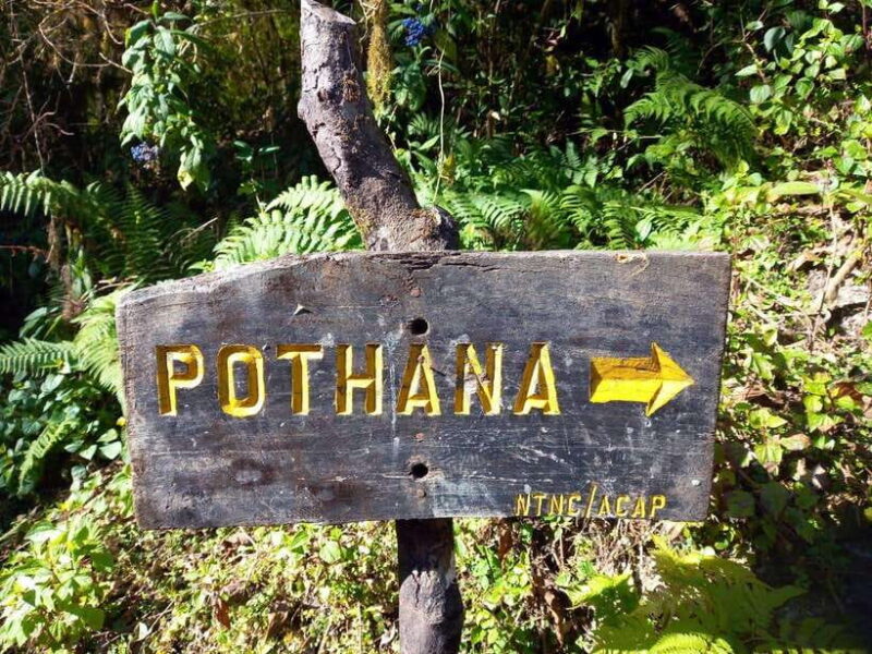 Kathmandu/Pokhara: 5-Day Mardi Base Camp (MBC) Trek - The Sum Up