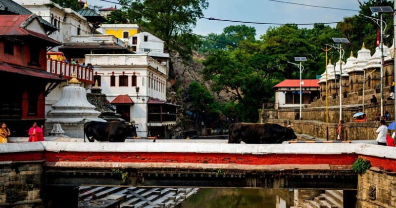 Kathmandu: Private Cultural and Heritage Day Tour - FAQs