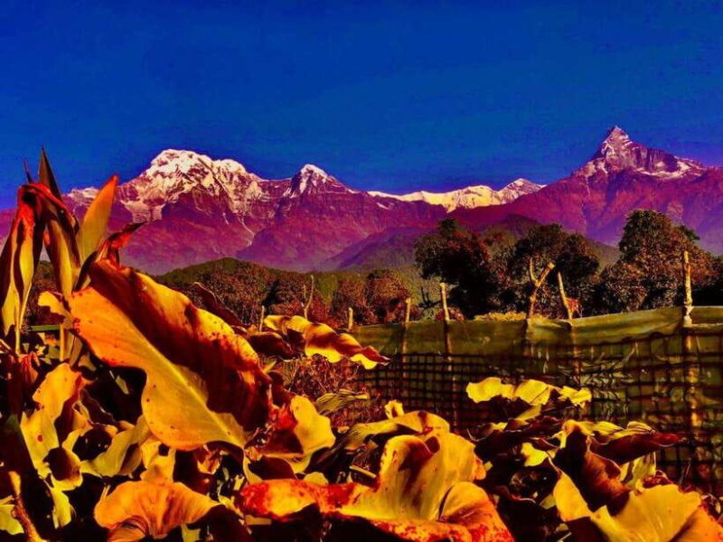 Kathmandu: Rapid Ghorepani Poon Hill Trek with Guide - What Makes This Trek Special?