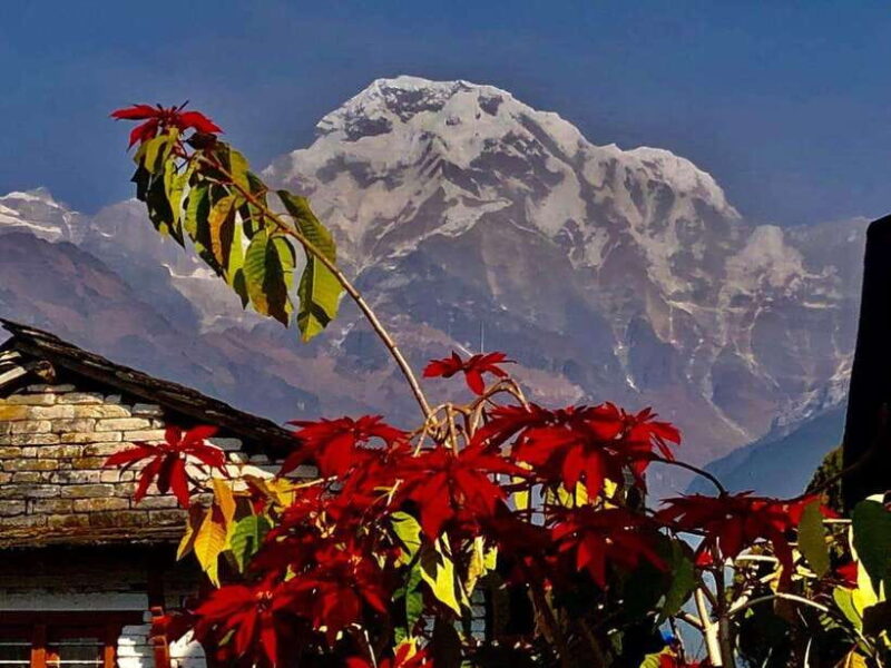 Kathmandu: Rapid Ghorepani Poon Hill Trek with Guide - Practical Considerations and Tips