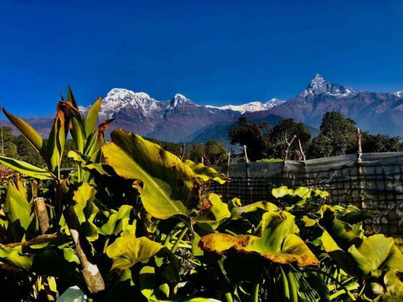 Kathmandu: Rapid Ghorepani Poon Hill Trek with Guide - FAQ
