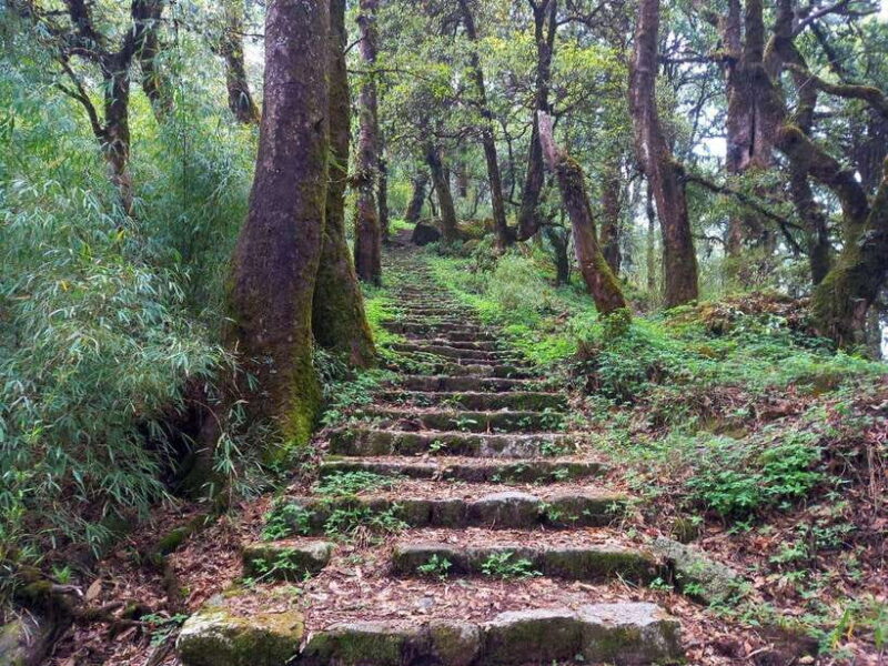 Kathmandu: Shivapuri Day Hike with Lunch - Frequently Asked Questions