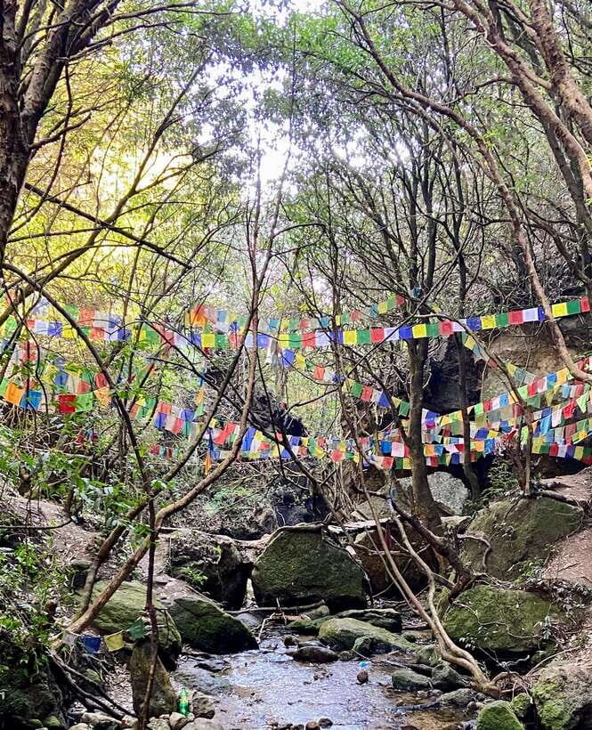 Kathmandu: Shivapuri Hill Day Hike with Lunch box - An Authentic Day in Nature with a Cultural Touch