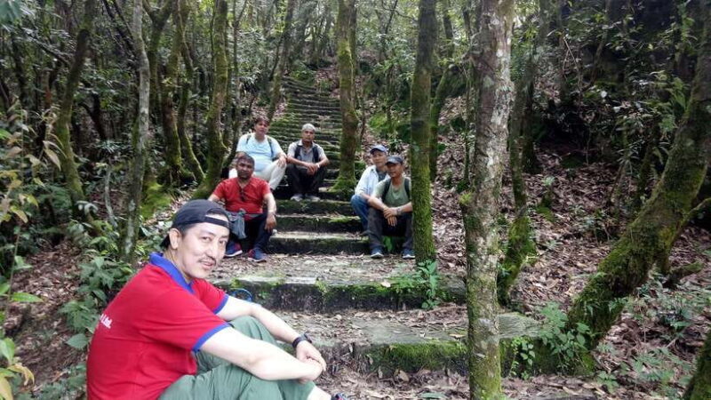 Kathmandu: Shivapuri National Park Day Hike - The Itinerary: Step-by-Step